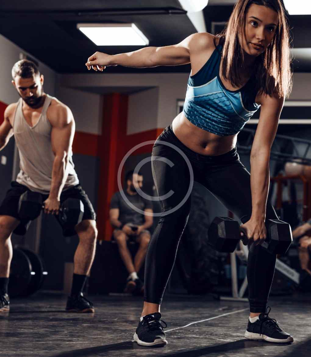 Home Fitness Centre – Muscle Harvest